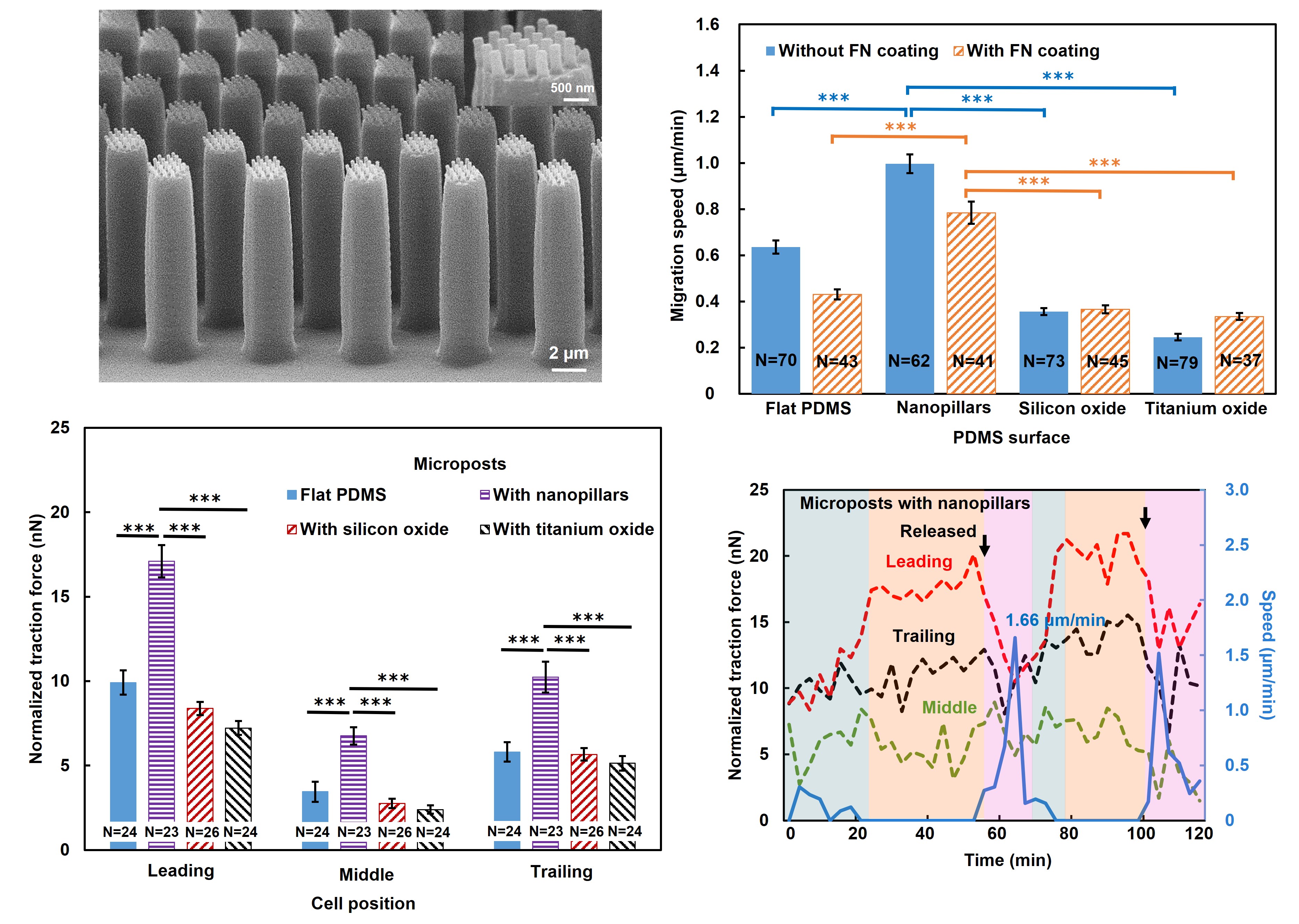 Centre for Biosystems, Neuroscience, and Nanotechnology - City ...