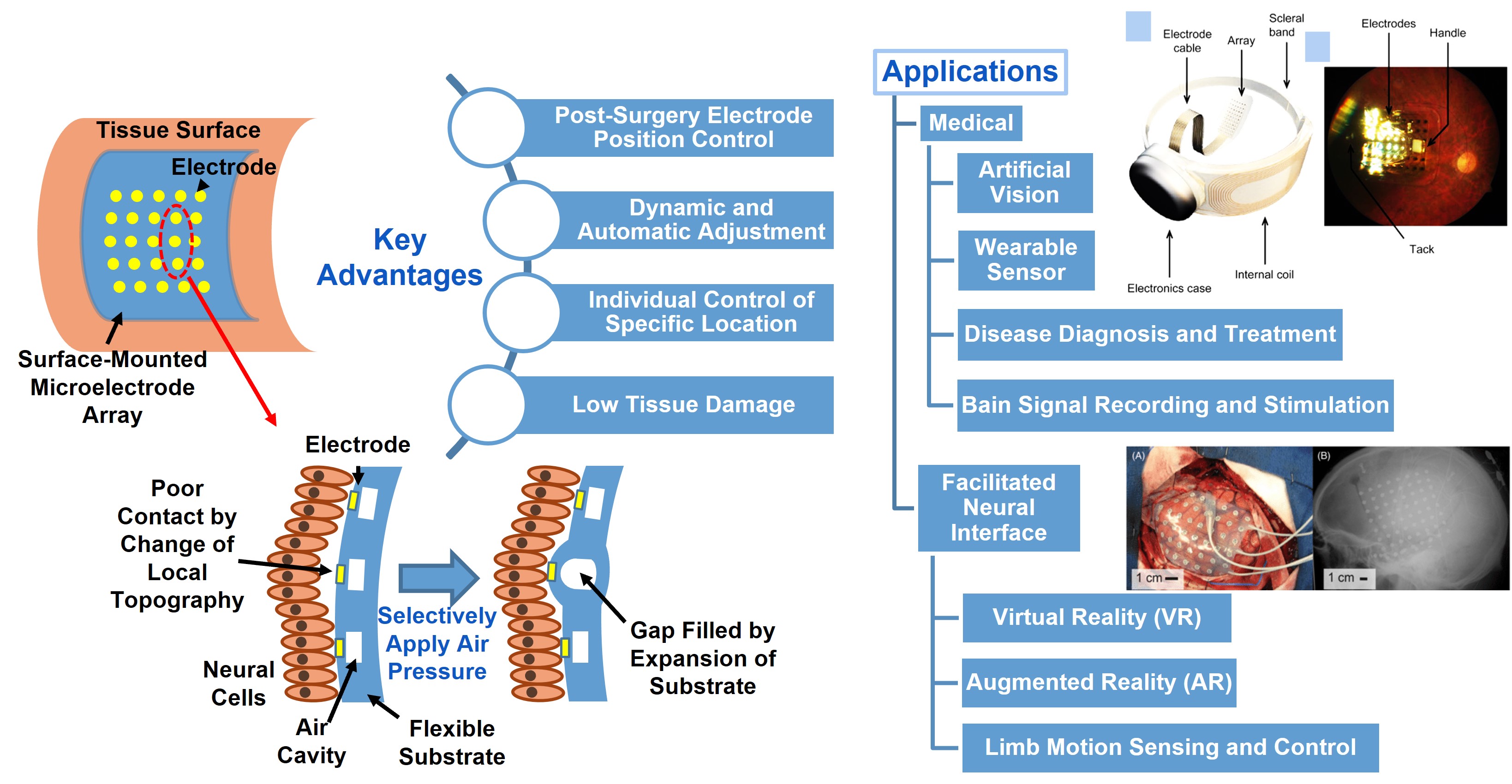 Centre for Biosystems, Neuroscience, and Nanotechnology - City ...