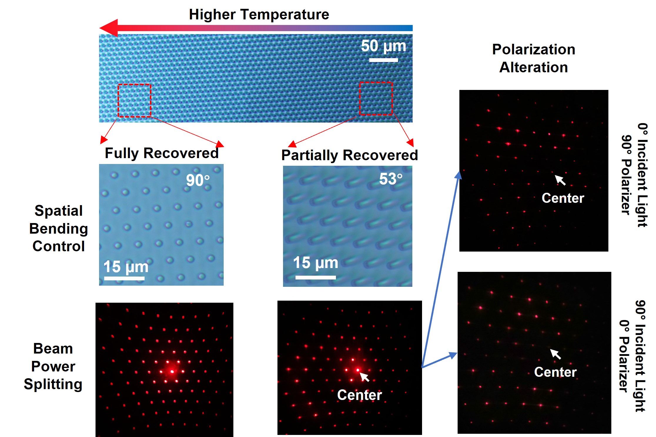 Centre for Biosystems, Neuroscience, and Nanotechnology - City ...