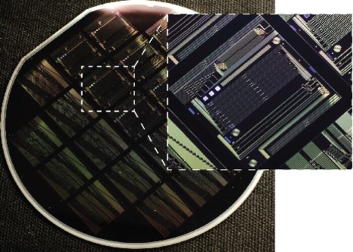 CHENG Lab | Research